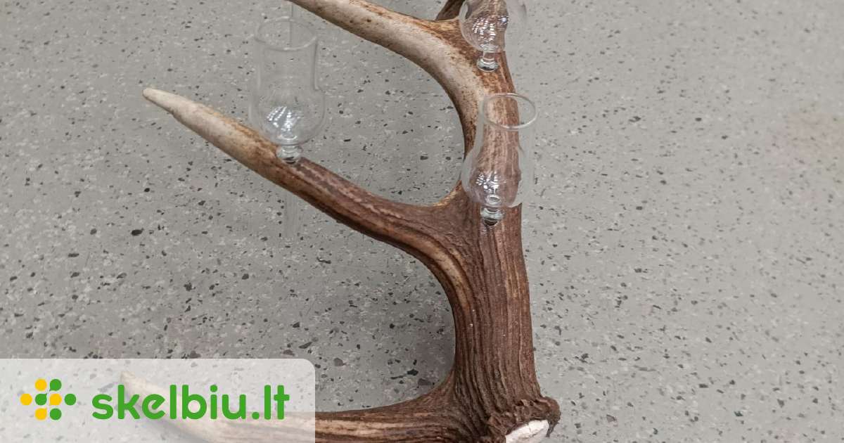 ragas ragai skelbimai - Skelbiu.lt