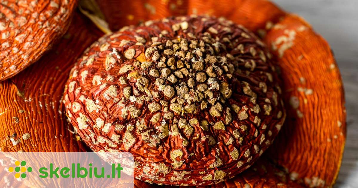 Raudonoji musmirė 2023 m. Išvalytas ultragarsu. - Skelbiu.lt