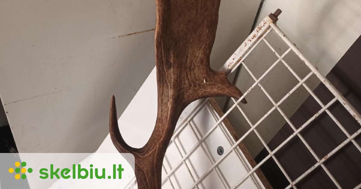 Danieliaus ragai - Skelbiu.lt