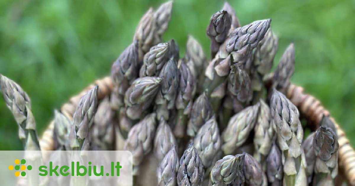 Žalieji smidrai - Skelbiu.lt