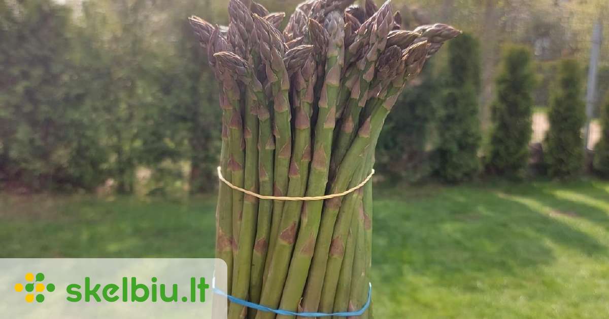 Smidrai - Šparagai - Skelbiu.lt