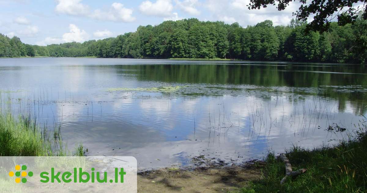 Didelis sklypas / sodybvietė su ežero pakrante - Skelbiu.lt