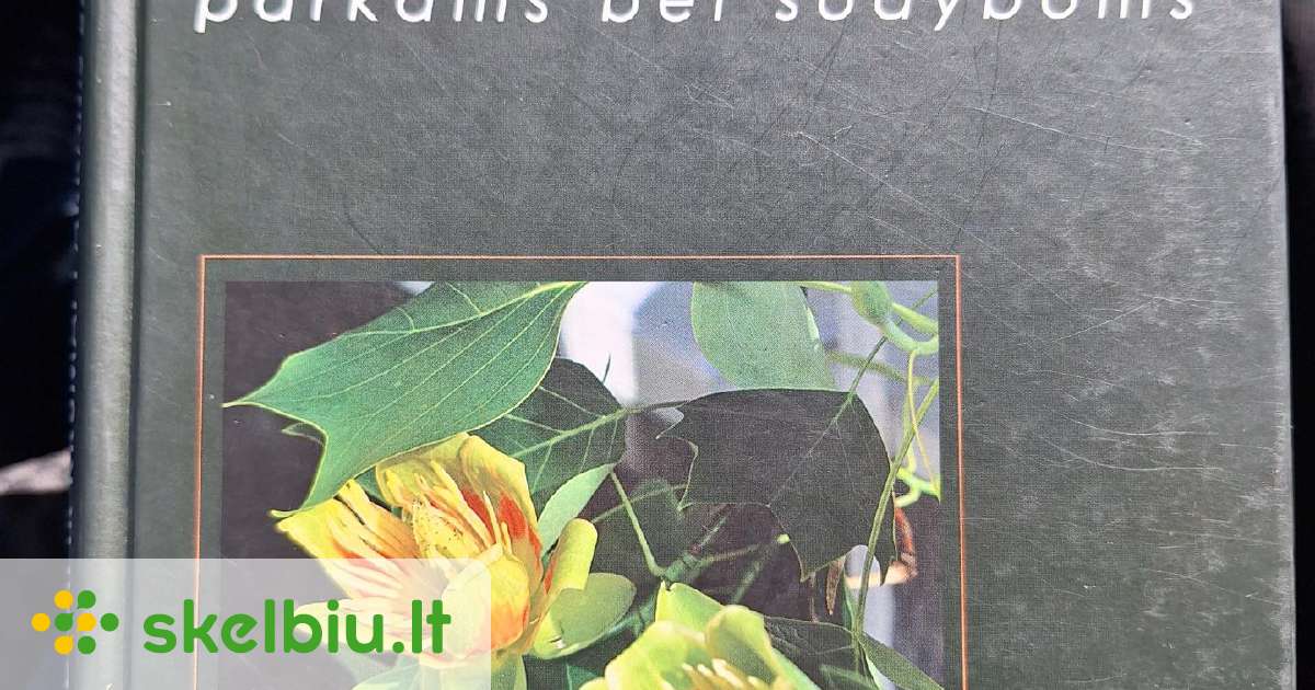 Medžiai ir krūmai parkams bei sodyboms - Skelbiu.lt
