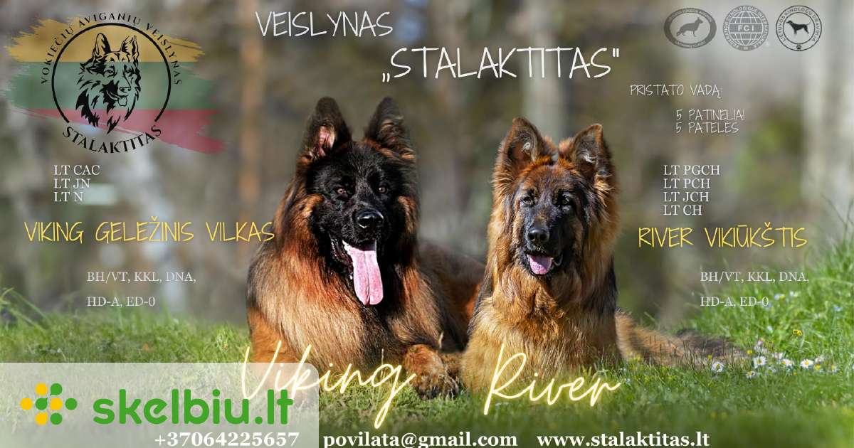 sunys pasvalys pasvalio r skelbimai - Skelbiu.lt