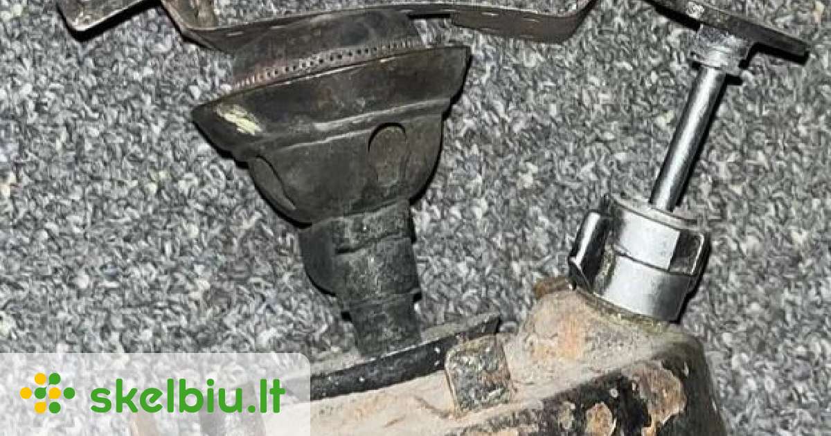 Primusas - Skelbiu.lt