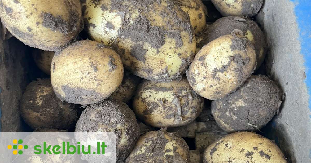 bulves sviezias skelbimai - Skelbiu.lt