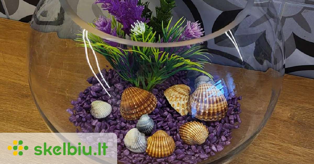 Mini akvariumas - Skelbiu.lt