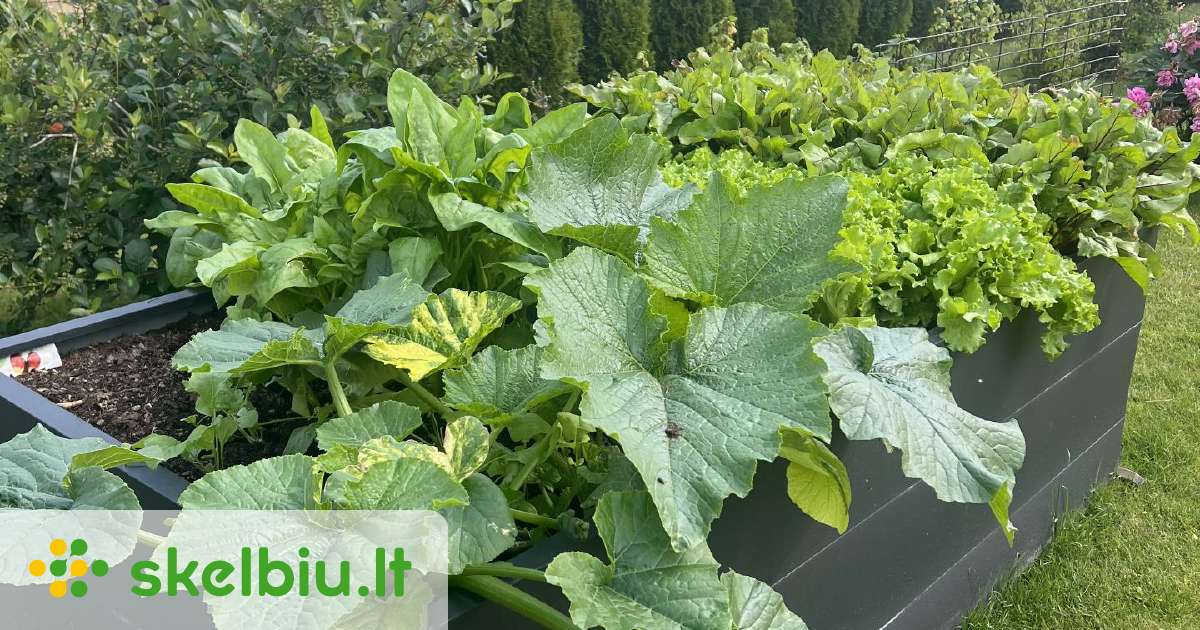 metalines lysves skelbimai - Skelbiu.lt