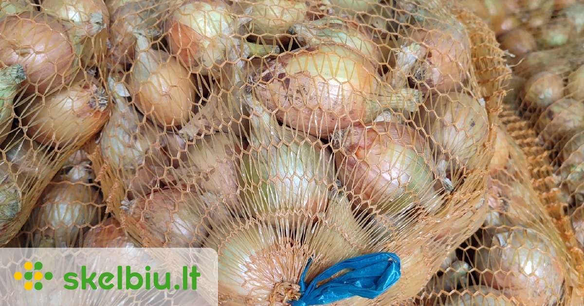 Svogūnai - Skelbiu.lt