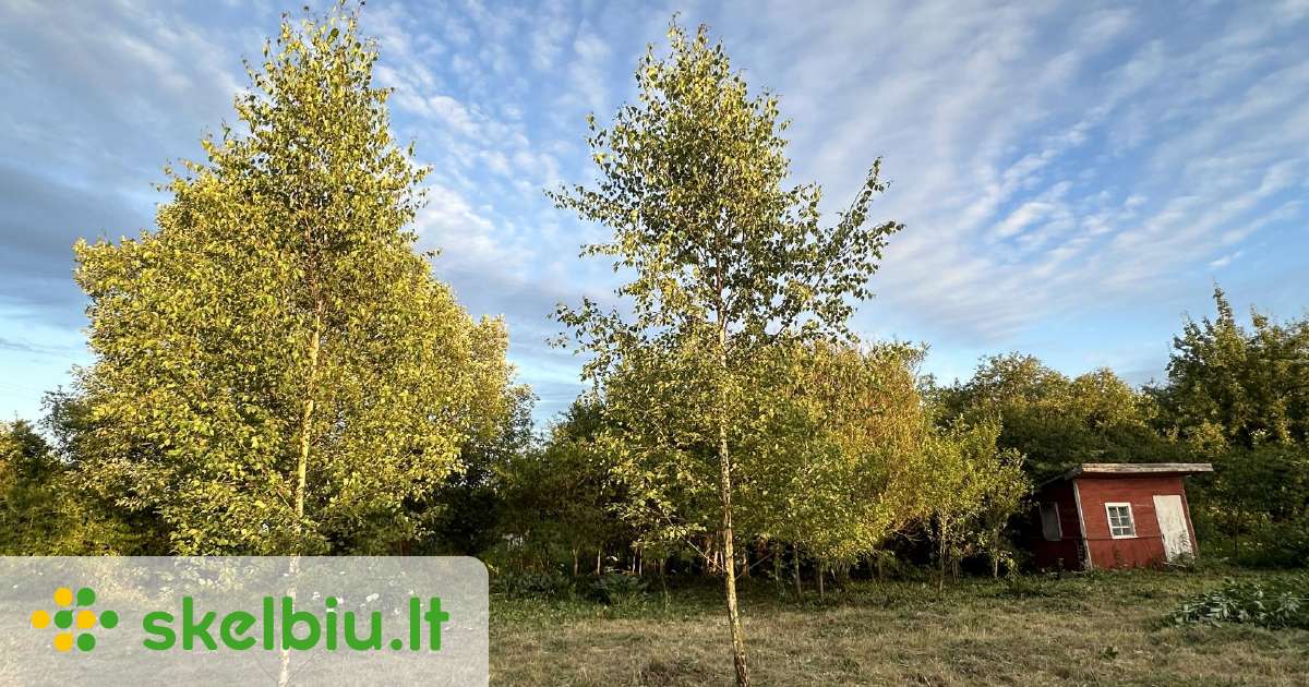 Sklypas, Ukmergės r. Sarapų k. Armonos 12-oji g. sklypas Nekilnojamo ...