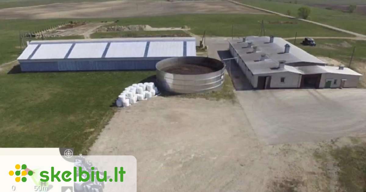 Pieno arba mėsiniu galviju ukis - Skelbiu.lt