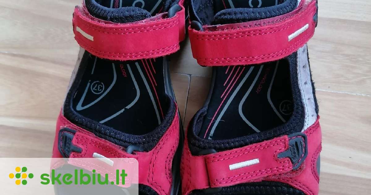 Ecco odines basutes 37 dydis - Skelbiu.lt