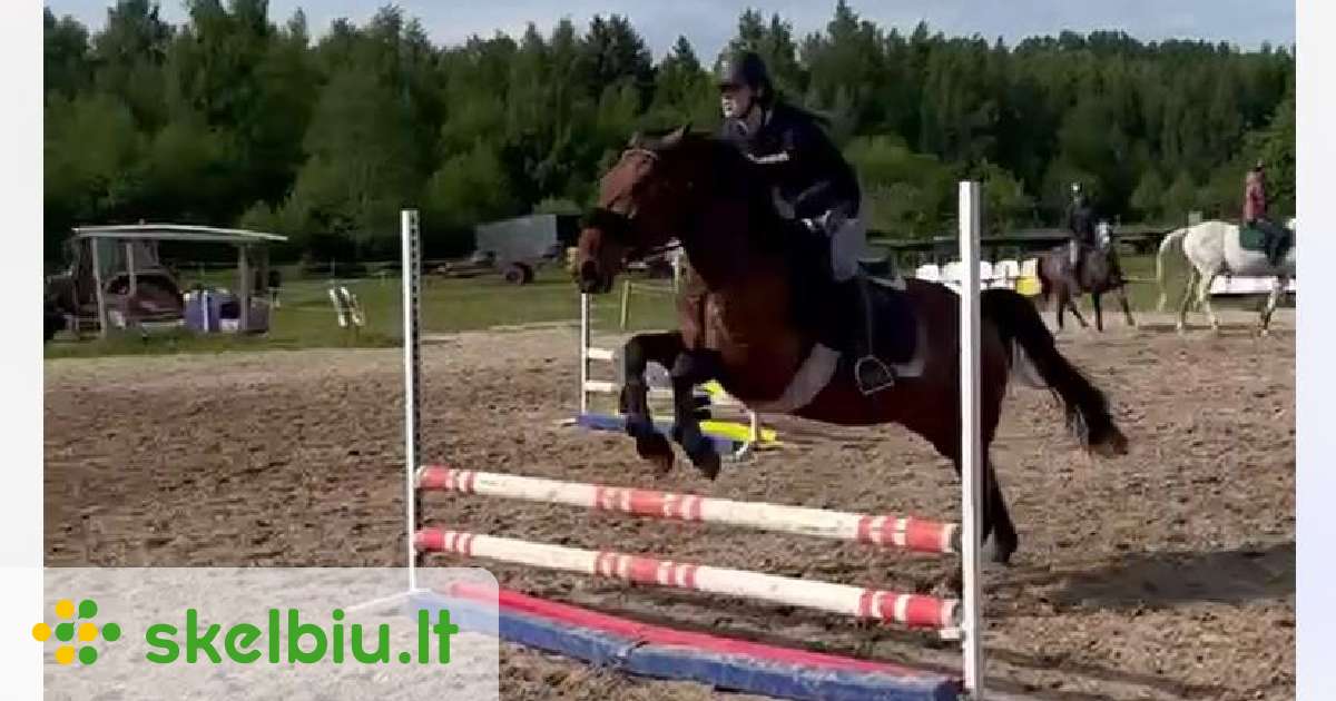 Arkliai, žirgai arkliai, žirgai - Skelbiu.lt