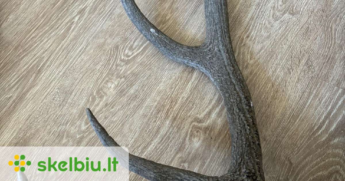 Elnio ragai - Skelbiu.lt