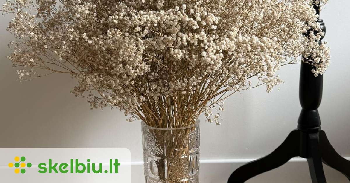 Didele ispudinga dziovintu guboju puokste - Skelbiu.lt