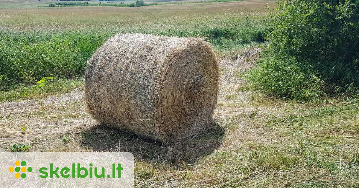 sienai rulo skelbimai - Skelbiu.lt