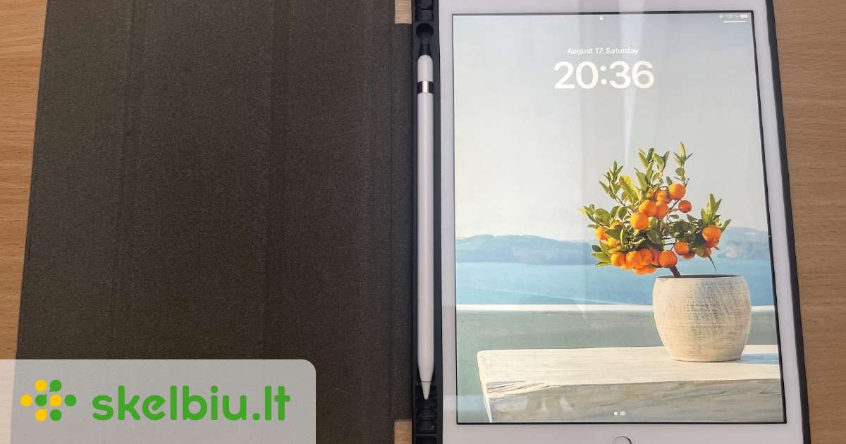 iPad A2197 10.2" su Apple pieštuku - Skelbiu.lt