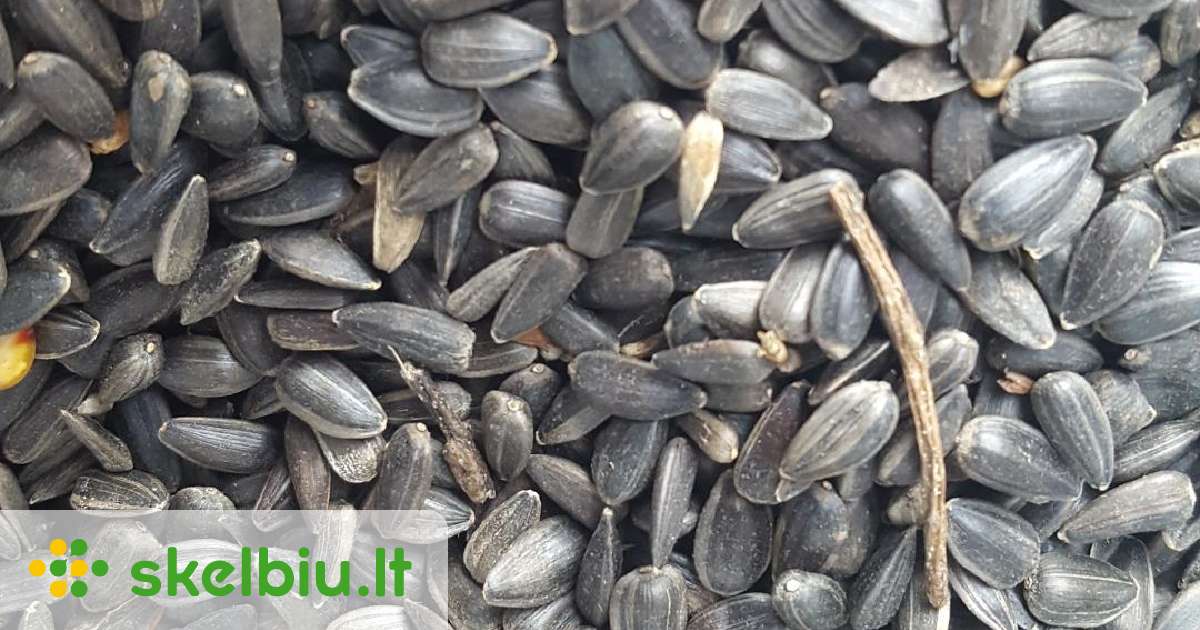 Saulegrazos, saulegraza 1e pristatau - Skelbiu.lt