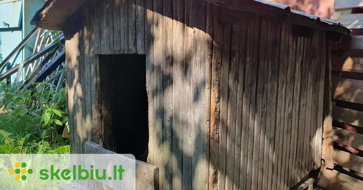 Šuns buda - Skelbiu.lt