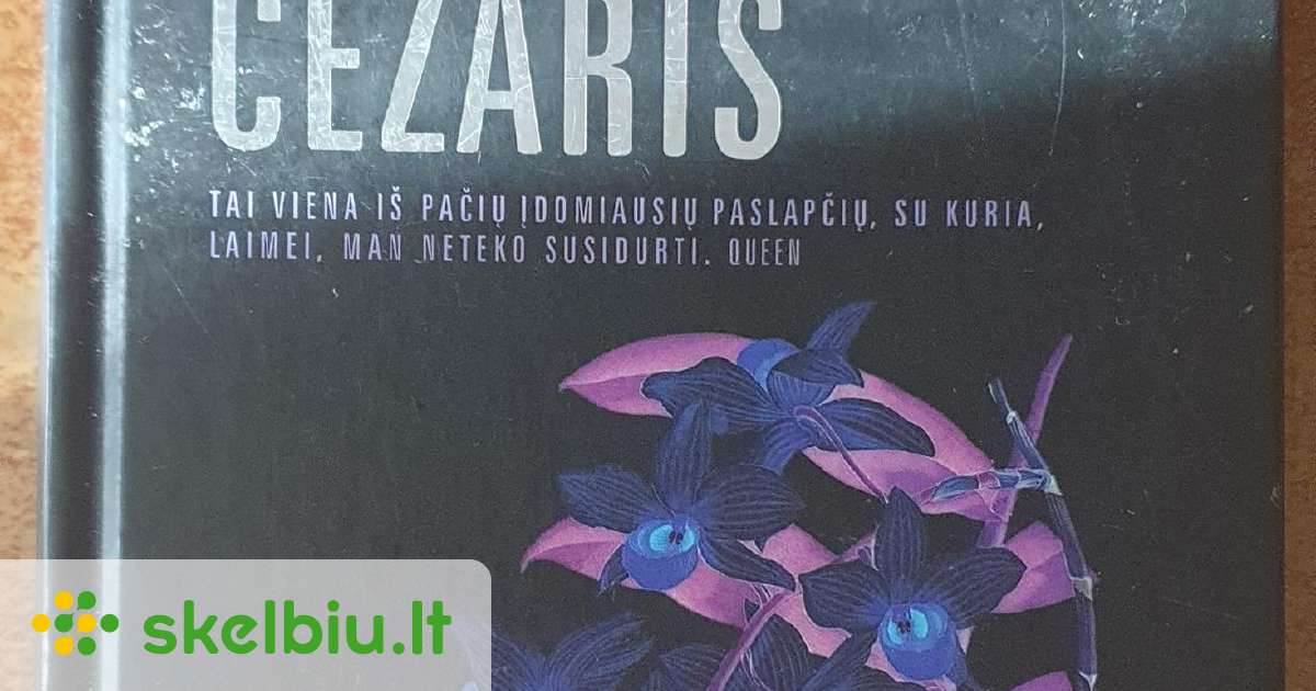 palaidotas skelbimai - Skelbiu.lt