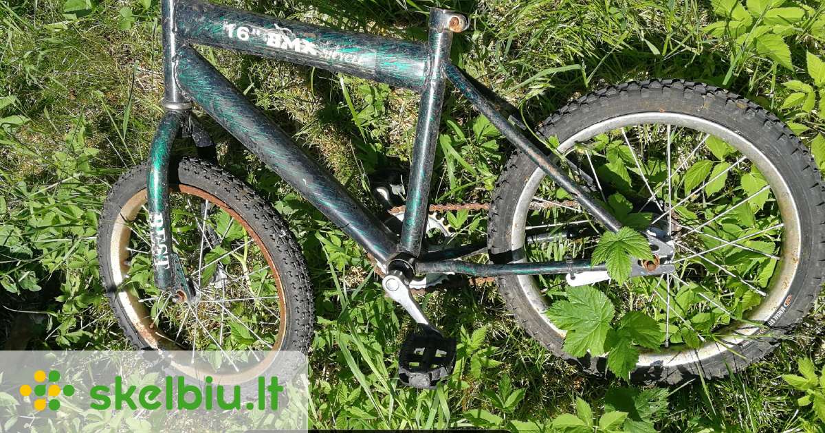 Dviracio remas su ratais - Skelbiu.lt