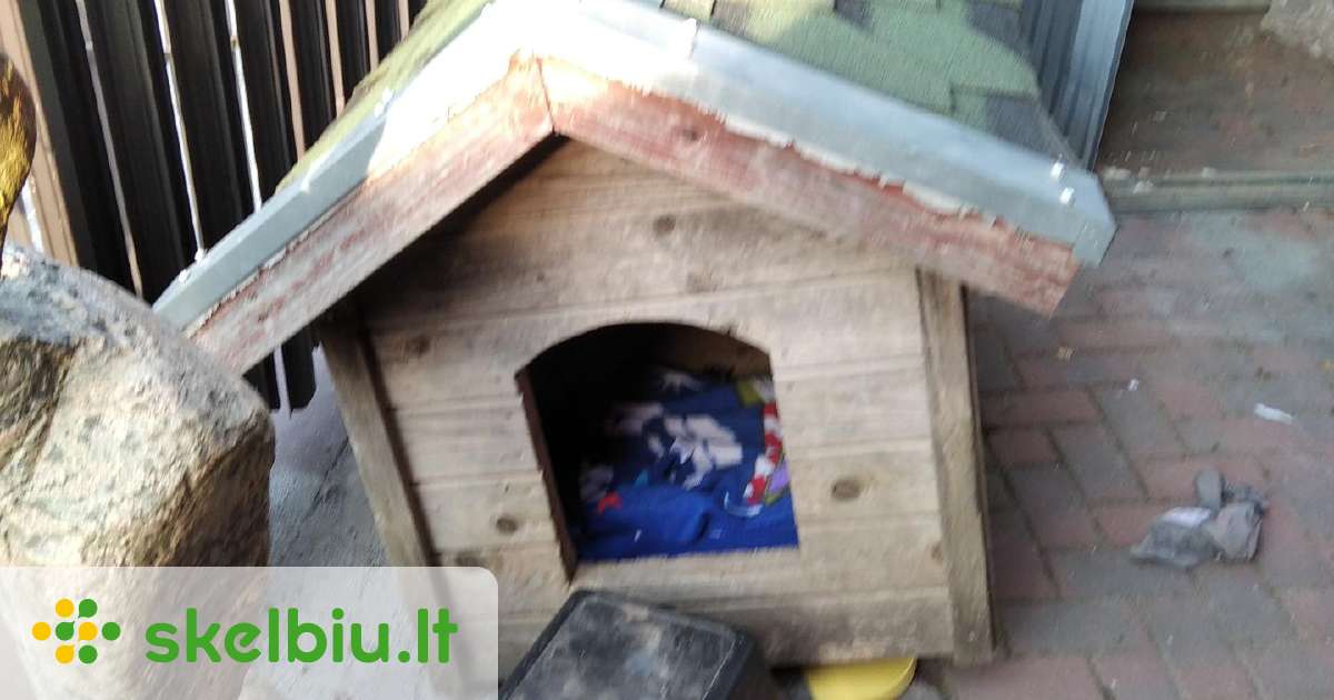 Suns buda - Skelbiu.lt