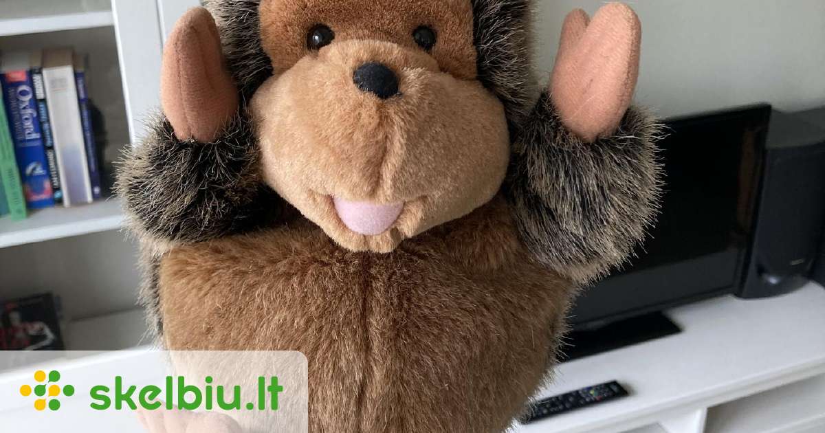 Pliušinis Bebras - Skelbiu.lt