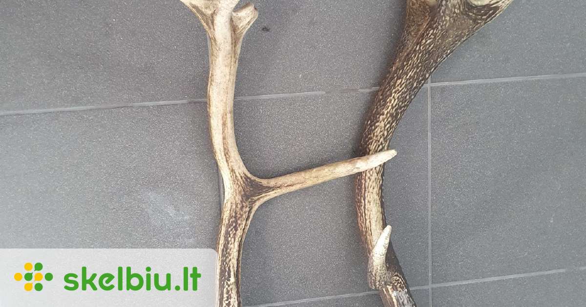 Elnio ragai - Skelbiu.lt