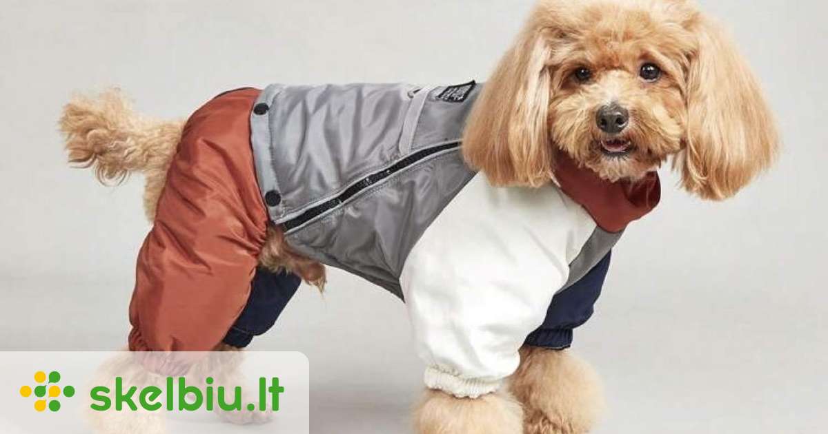 Striukės šunims - Nauja - 2 dalių - Skelbiu.lt