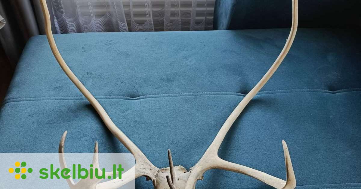 Elnio ragai 100e - Skelbiu.lt