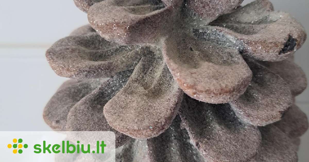 Zvake kankorezis - Skelbiu.lt