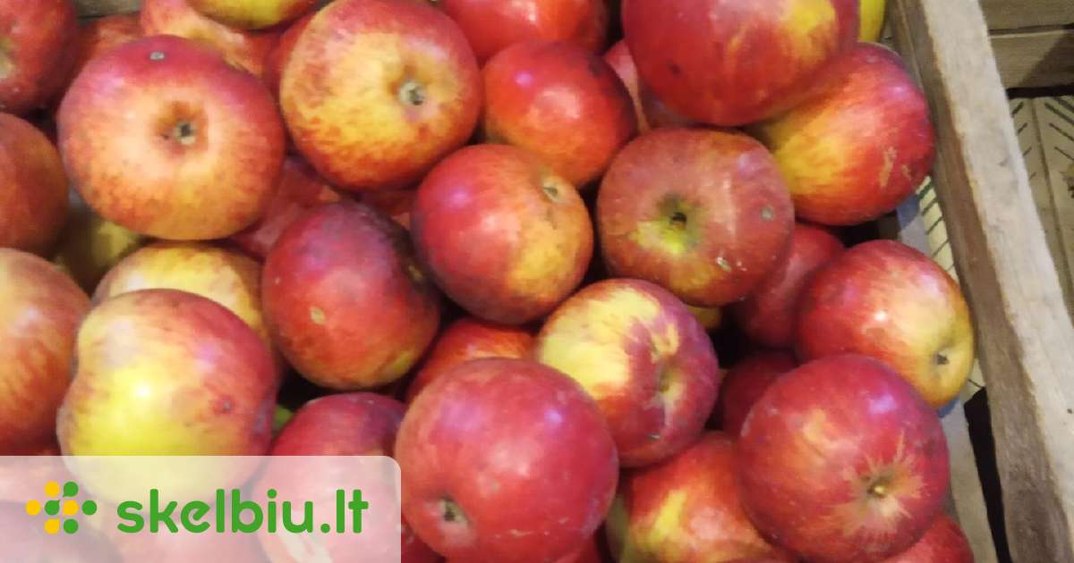 Obuoliai - Skelbiu.lt