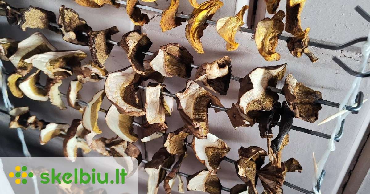 Džiovinti grybai makavykai šilbaravykiai kazlėkai - Skelbiu.lt