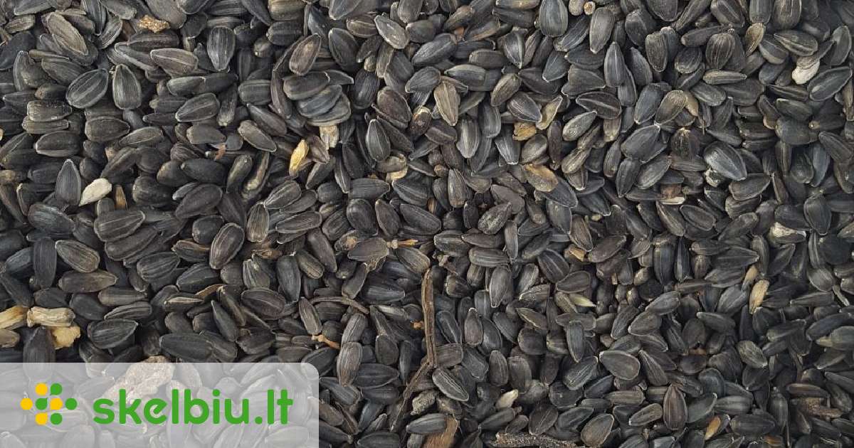 Saulegraza, saulegrazos 20kg 25e visa Lietuva - Skelbiu.lt