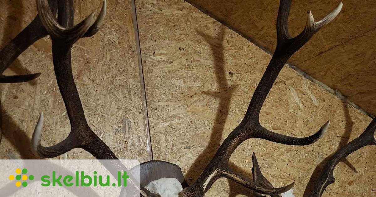 Elnio ragai - Skelbiu.lt