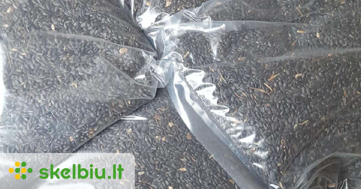Saulegrazos po 5kg , 1e/kg visa Lietuva - Skelbiu.lt