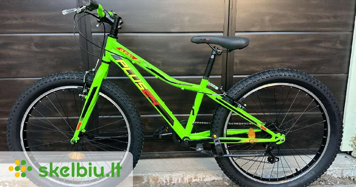 Vaikiskas 24 coliu Dviratis! - Skelbiu.lt