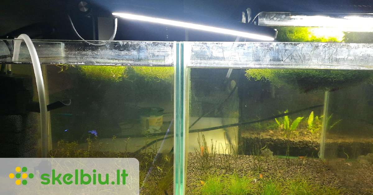 2 kubai akvariumai - Skelbiu.lt