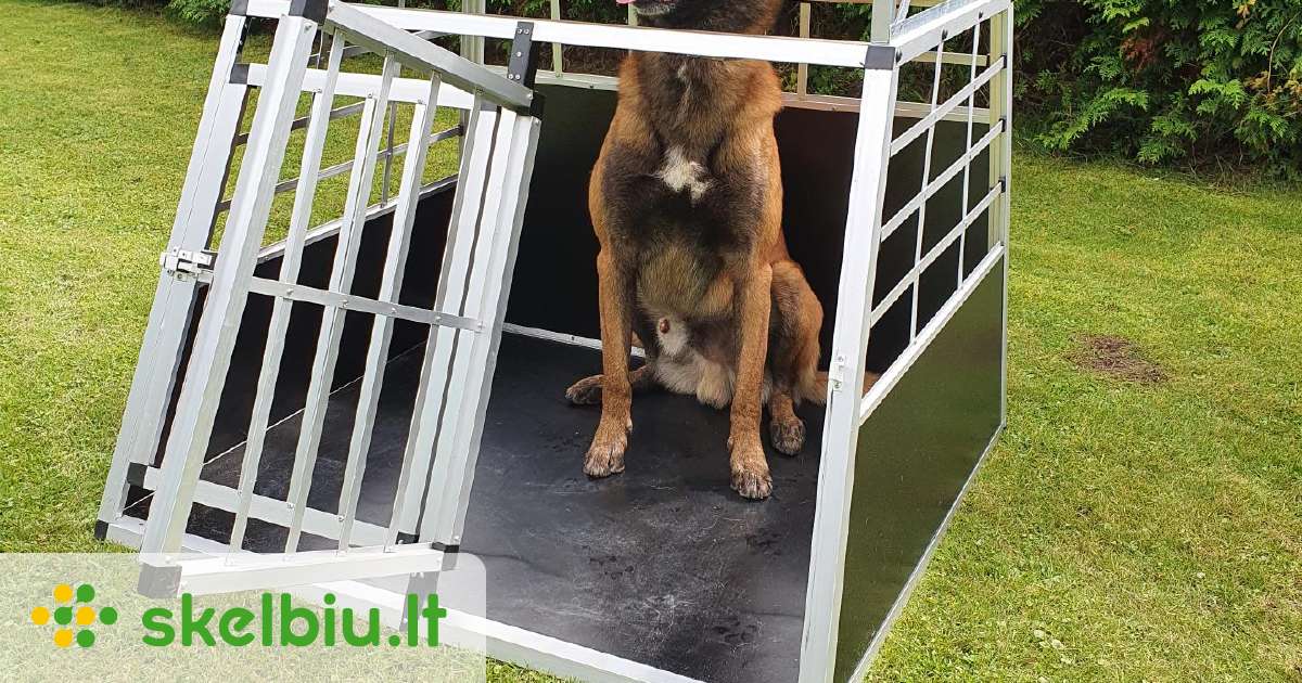 Šuns gabenimo boksas - Skelbiu.lt