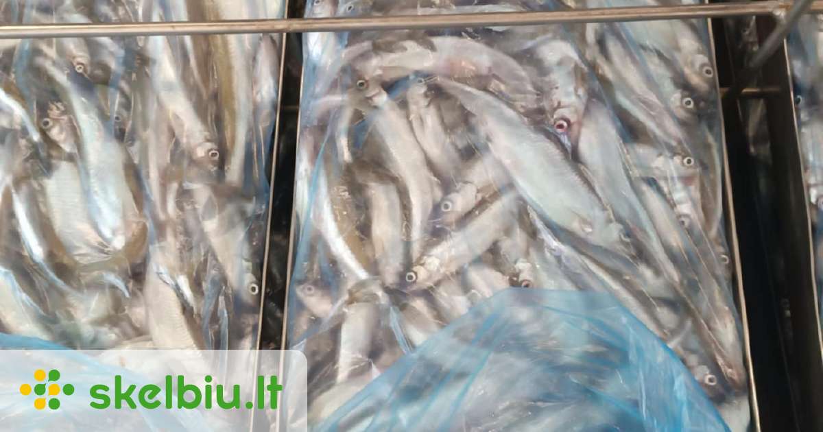 Stinta šviežia ir šaldyta - Skelbiu.lt