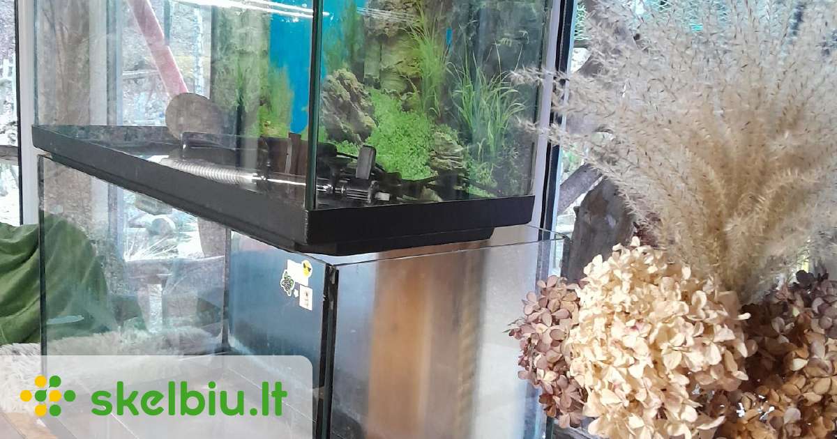 Akvariumas - Skelbiu.lt
