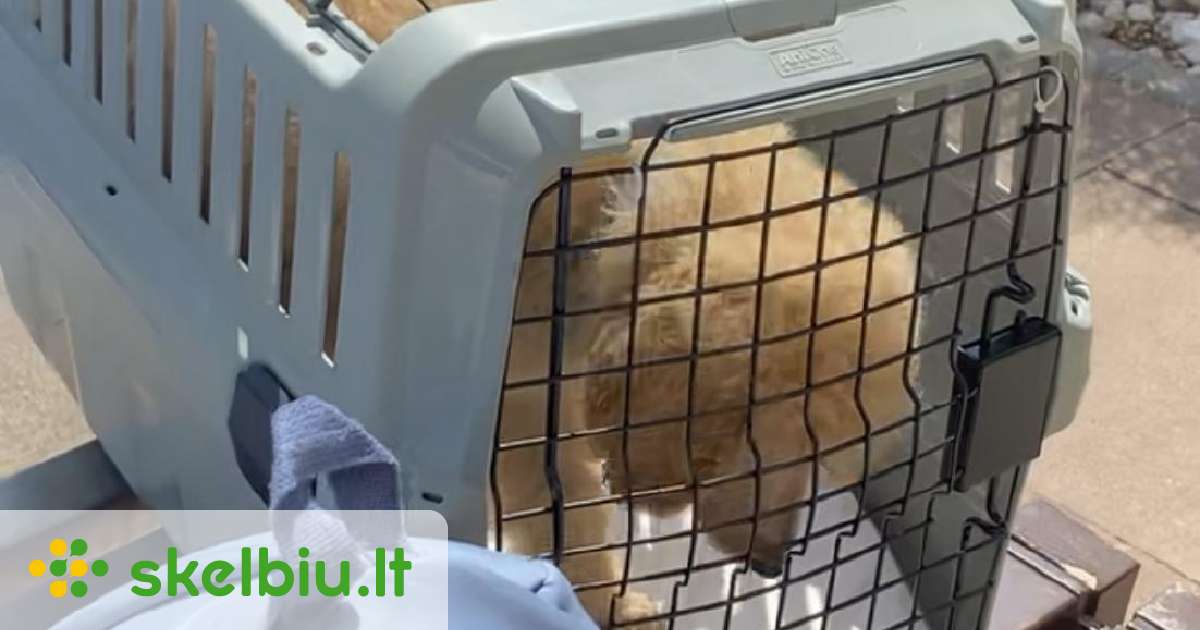 Parduodamas transportavimo boksas - Skelbiu.lt