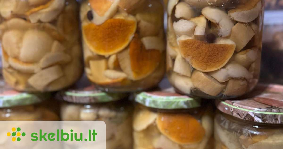 Natūralei ant pečiaus džiovinti baravykai - Skelbiu.lt