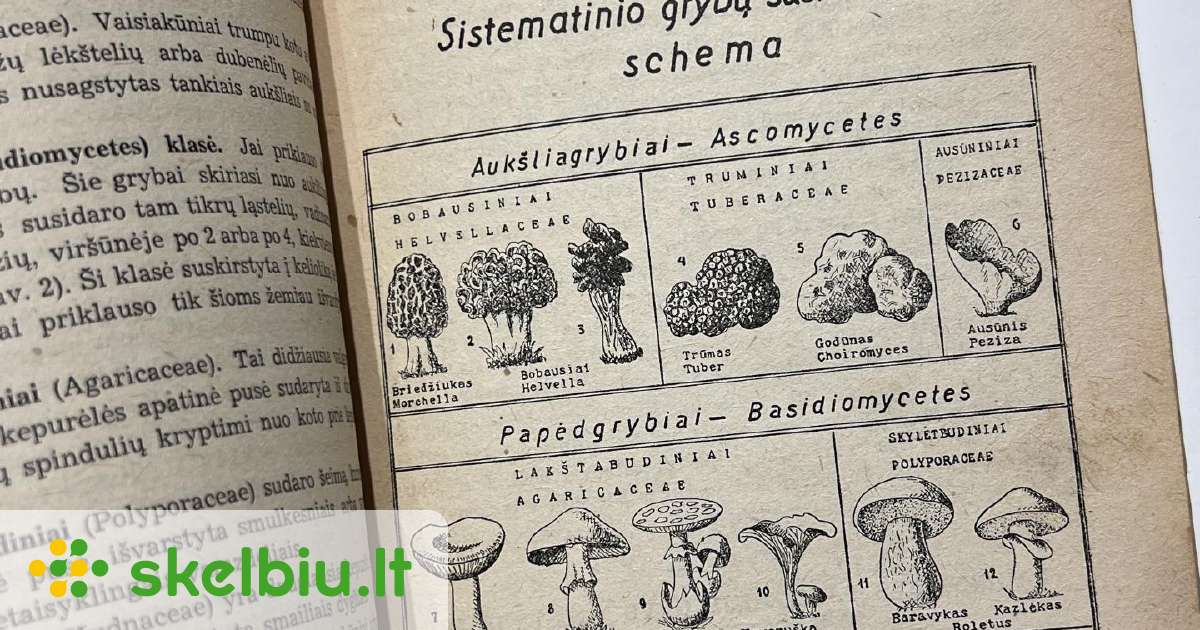 Knyga Grybai Jų Rinkimas Ir Paruošimas Rinkai - Skelbiu.lt