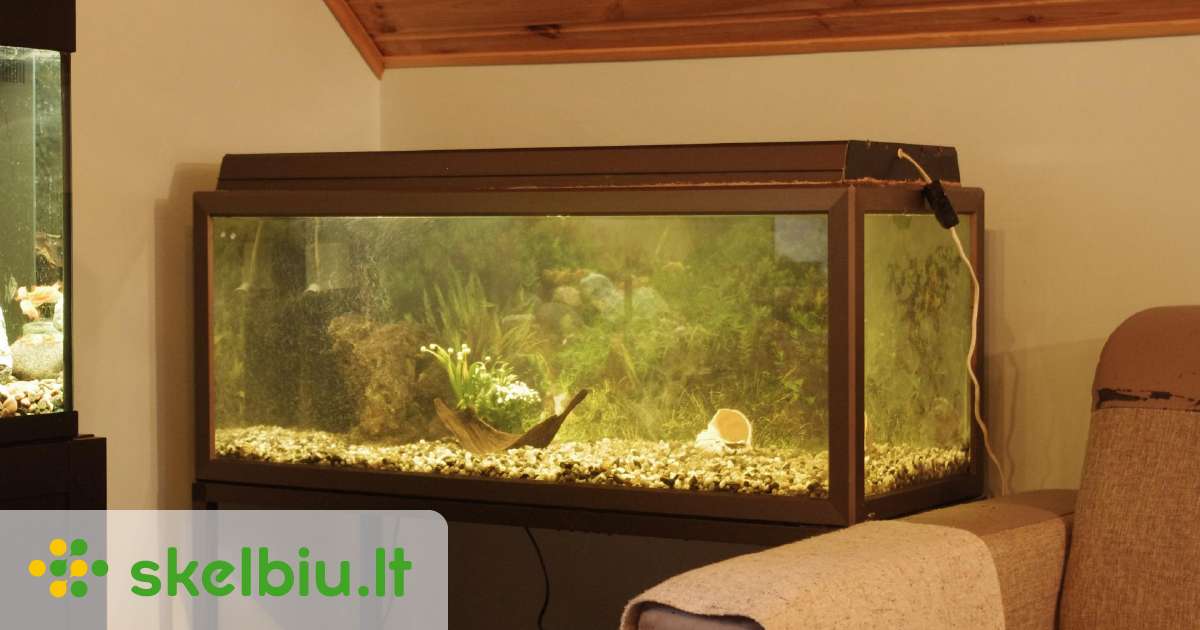 vandens akvariumas skelbimai - Skelbiu.lt