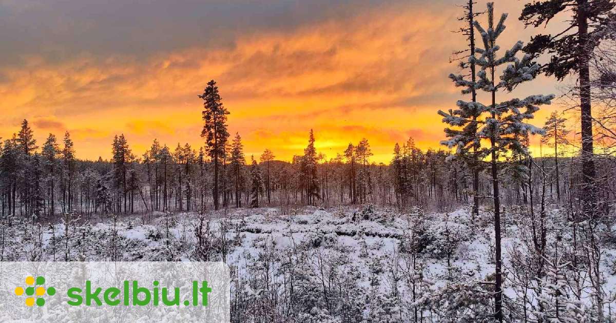 Zvejybos baze Siaures Svedija Storuman - Skelbiu.lt