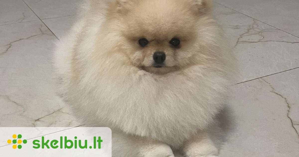 spicas su skelbimai - Skelbiu.lt