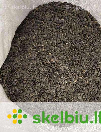 Juodos smulkios saulegrazos ir misiniai pauksciams - Skelbiu.lt