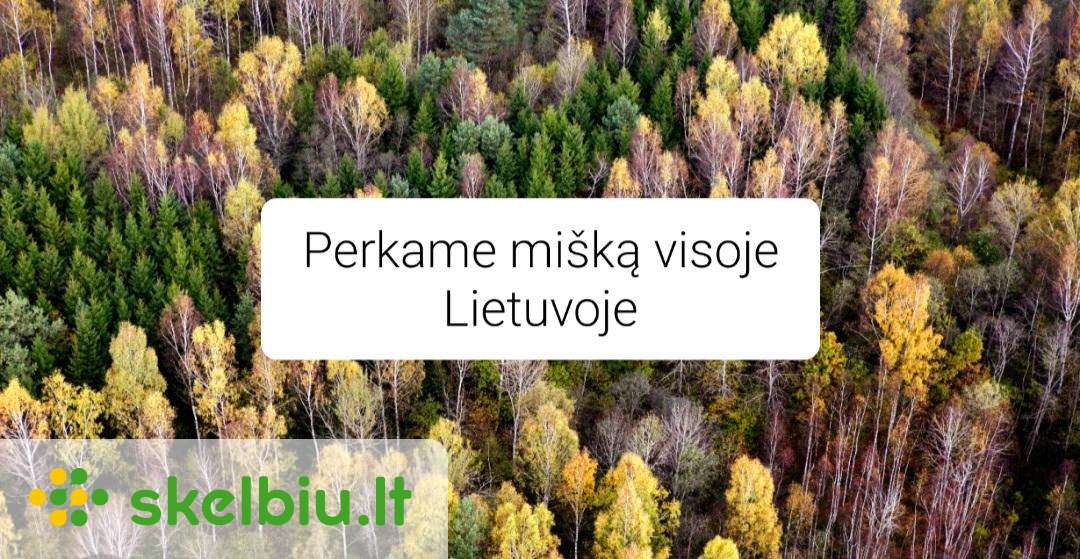 Perkame mišką su žeme arba išsikirtimui - Skelbiu.lt