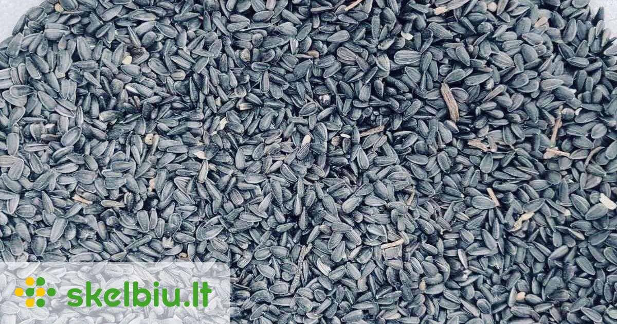 Juodos smulkios saulegrazos, lukstentos saulegrazo - Skelbiu.lt